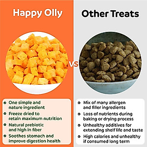 Happy Olly Pumpkin Treats for Dogs Digestion 2oz - Freeze Dried Pumpkin Treats/Topper, Reduce Dog Diarrhea and Scotting - Natural Single Ingredient Pure Pumpkin for Dogs - Prebiotics & Fiber
