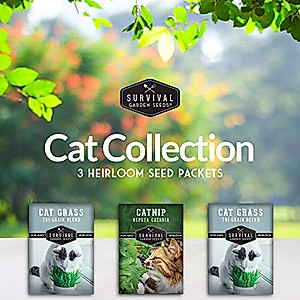 Survival Garden Seeds Cat Collection Seed Vault - Non-GMO Heirloom Seeds for Planting - Catnip and 2 Cat Grass Packets - Amazing Herbal Plants and Greens for Your Kitty's Health & Recreation