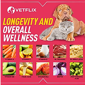 Vetflix Pet Vitamins 10-in-1 Made in USA - Natural Glucosamine for Dogs & Cats, Essential Multivitamin Blend for Pet Joint Health, Longevity, Gut & Immune Health - All Ages, Breeds and Sizes 2 fl oz