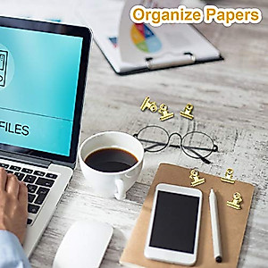 Coideal Small Gold Bull Hinge Clips, 30 Pcs Tiny Metal Binder Paper Clips for Tags Bags, Pictures Photos, Wire Grid Wall Decor, Office and Home Kitchen (Light Gold, 22mm)