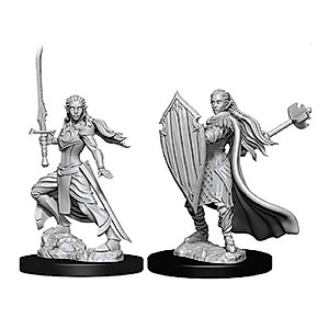 D&D Nolzur's Marvelous Miniatures - Male Elf Rogue