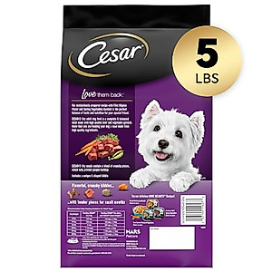 CESAR Adult Small Breed Dry Dog Food, Filet Mignon Flavor with Spring Vegetables Garnish, 5 lb. Bag