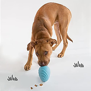 Nylabone Eggi Interactive Fillable Dog Chew Toy - Lightweight Bouncy Floatable Dog Treat Toy for Creative Play & Dog Exercise, Blue, Large/Giant - Up to 50 lbs. (1 Count)