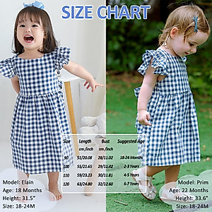 Zanie Kids Gingham Toddler Dress Bowknot Easter Dress Baby Girl Summer Playwear Outfits Plaid Blue 2 3T