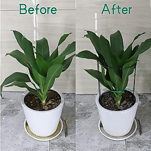 10 Pack Peony Cages and Supports, 10" (W) x 16"(H) Plant Support, Rust-Proof Metal Plant Support Stakes for Outdoor&Indoor Plants, Bonus 20 Plant Clips and 20 Plant Ties