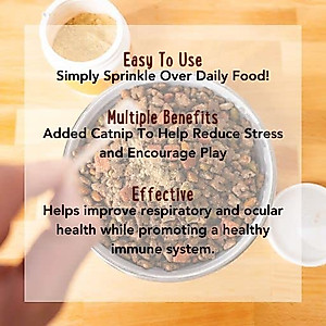 iHeartCats L-Lysine for Cats - Immune & Respiratory Supplement for Cats - Cat Sneezing & Runny Nose Relief - L-Lysine Powder with Cat Nip - Chicken & Salmon Flavor