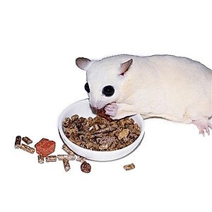 Sugar Glider Complete Food Starter Package - Nutritionally Complete Pellet Diet & High Protein Supplemental Food for Sugar Gliders… (2 Piece Set)