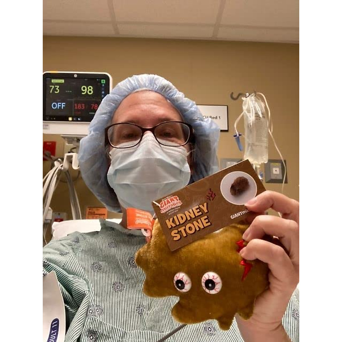 GIANTmicrobes Kidney Stone Plush - Learn About The Kidney and Health with This Memorable Gift for Family, Friends, Doctors, Nurses, Educators and Anyone with a Healthy Sense of Humor