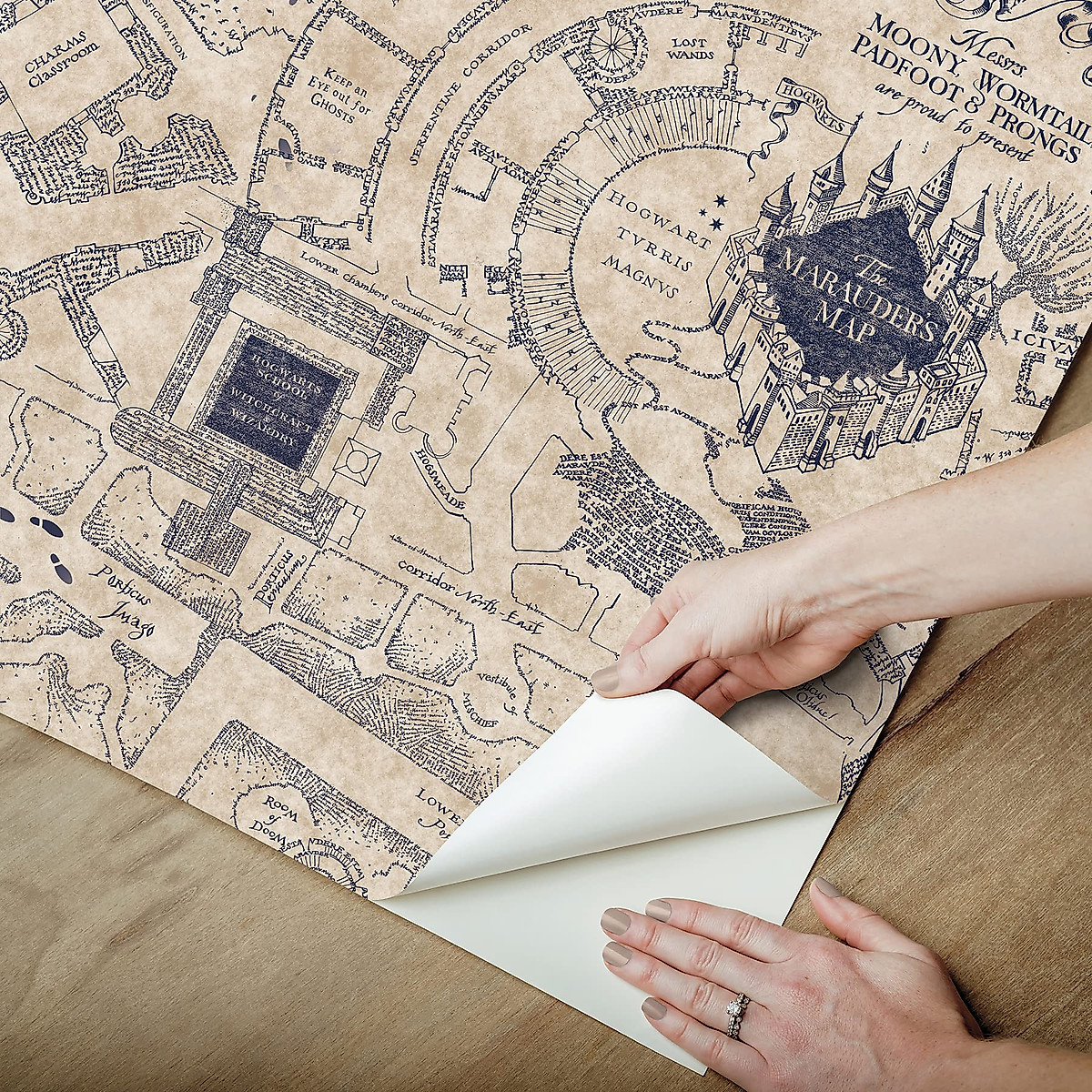 RoomMates RMK12436RL Blue Harry Potter Marauder's Map Peel and Stick Wallpaper