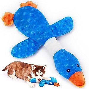 Vitscan Puppy Toys for Teething Small Dogs - Squeaky, Durable, Interactive Chew Toys for Aggressive Chewers