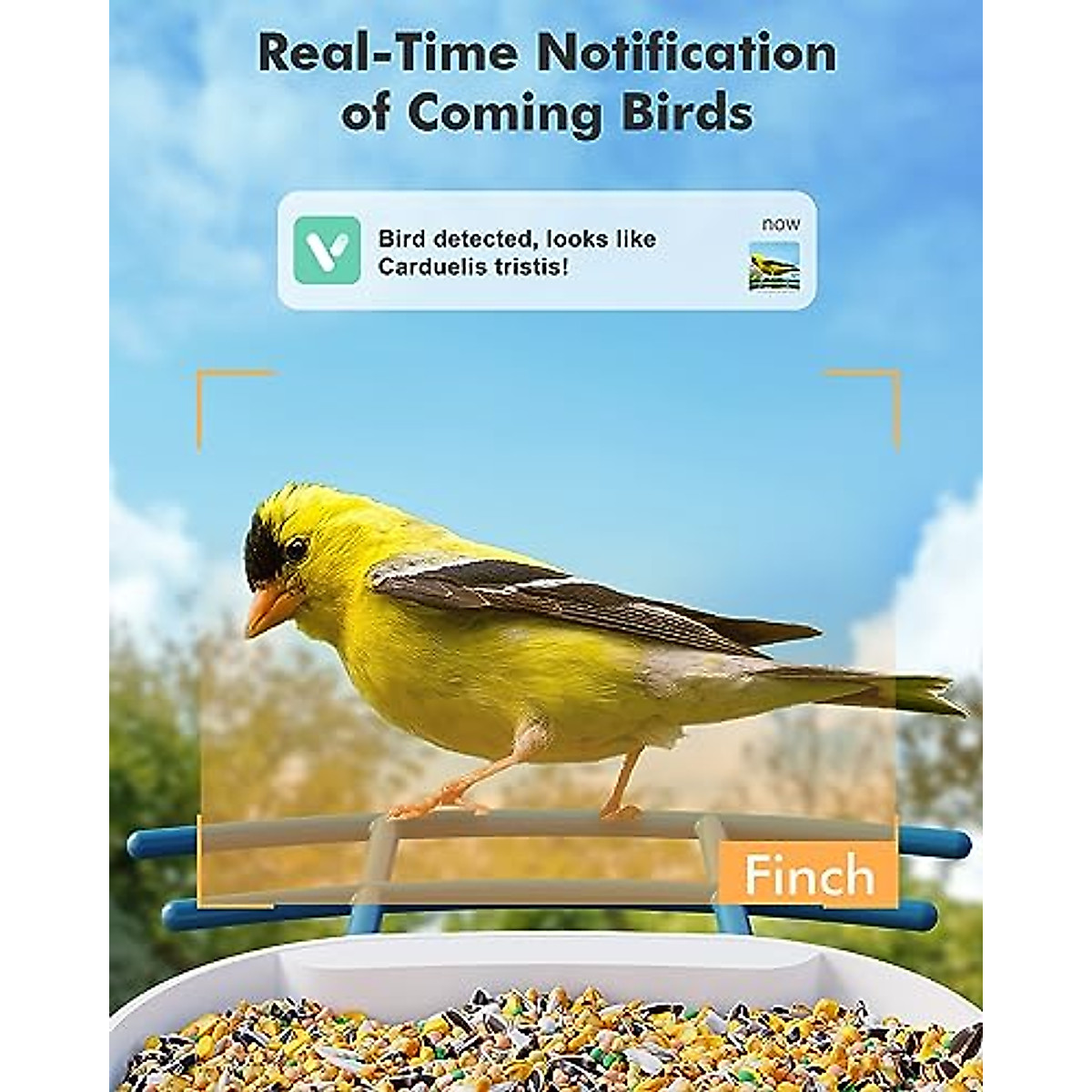 Dzees Security Camera Outdoor Wireless - Battery Powered WiFi Outdoor Camera Wireless, Smart Bird Feeder with Camera, AI Identify Bird Species, Auto Capture Bird Videos