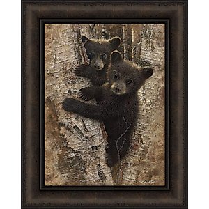 Curious Cubs by Collin Bogle 16x20 Black Bear Babies Sitting in Tree Framed Art Print Wall Décor Picture