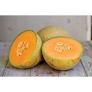 Burpee Olympic Express Cantaloupe Melon Seeds 30 seeds