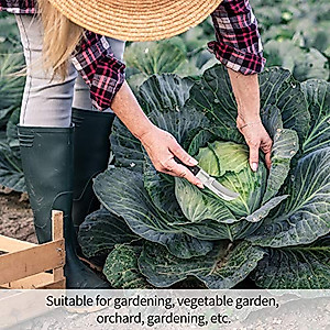 Linsen-outdoor Black Handle Pruning Knife,Grafting Knife, Stainless Steel Garden Budding Knife, Folding Pocket Knife for Grafting Multi Cutting Tool, Weed Bushes Branches Mushroom Diggig Knife