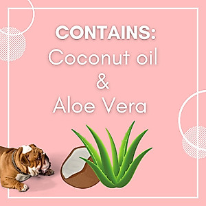 Barkos Pet Supplies Wrinkle Wipes for Dogs | Bulldog, French Bulldog, Pug, English Bulldog | Cleans & Soothes Wrinkles, Folds, Tear Stain, Tail Pockets & Paws, Anti-Itch | 100 Soft Cotton Pads…