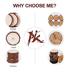 5ARTH Natural Wood Slices - 30 Pcs 3.5-4 inches Craft Unfinished Wood kit Predrilled with Hole Wooden Circles for Arts Wood Slices Christmas Ornaments DIY Crafts
