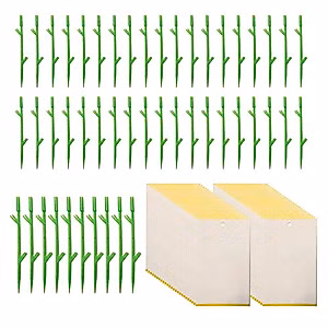 Fly Fruit Indoor Sticky Gnat Stakes Trap 50PCS Patio & Garden 2 Way Glue Broad