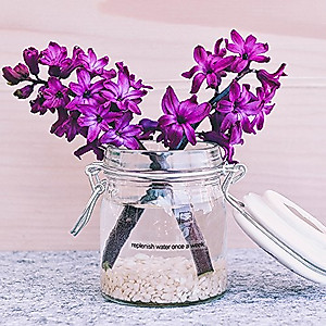 Wonfoucs Compatible Label Tape Replacement for Brother Label Maker Tape TZe-131 TZe-231 TZe-335 12mm 0.47 Laminated White/Clear/Black TZ Tapes for Brother P-Touch PTH110 PTD210 PTD200, 3-Pack