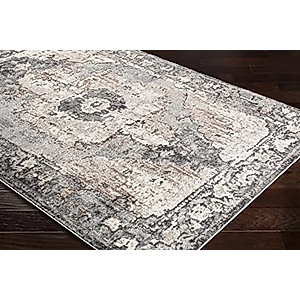 Hartshone Bohemian Farmhouse Living Room Bedroom Dining Room Area Rug - Boho Vintage Distressed - Persian Tribal Style Carpet - Dark Brown, Grey, Tan, Beige, Khaki, Charcoal, Light Black - 6'7" x 9'