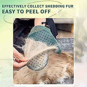 Mollypaws 2 in 1 Cat Fur Glove & Pet Hair Remover Glove, Dog Grooming Glove Brush for Shedding, Massage, Efficient Pet Hair Remover Mitt for Cleaner Couch, Carpet [Blue/Single]