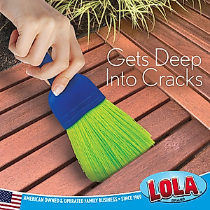 Lola Products Whisk Broom, Hand Brush, Durable Bristles, Whisks Away Dirt & Debris, Compact, Hang Hole for Easy Storage, Indoor/Outdoor, 1 Pack