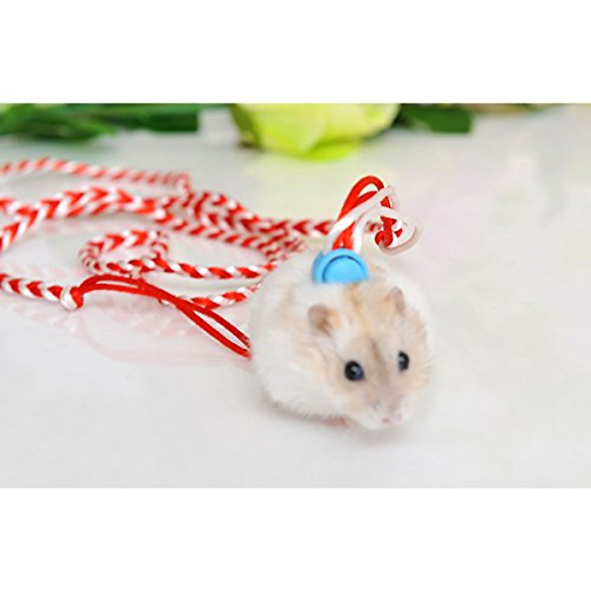 UEETEK Adjustable Hamster Harness Leash and Collar Walking for Hamster Cricetulu Rat Mouse Squirrel Small Pets Flexible Handle Rope 2M (Random Color)