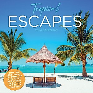 TF PUBLISHING 2024 Tropical Escapes Wall Calendar | Large Grids for Appointments and Scheduling | Vertical Monthly Wall Calendar 2024 | Home and Office Organization | Premium Gloss Paper | 12"x12”