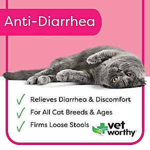 Vet Worthy Anti-Diarrhea for Cats - Cat Supplement to Help Relieve Diarrhea, Stomach Upset, and Discomfort - Pet Digestive Health Support with Kaolin and Pectin - 4oz