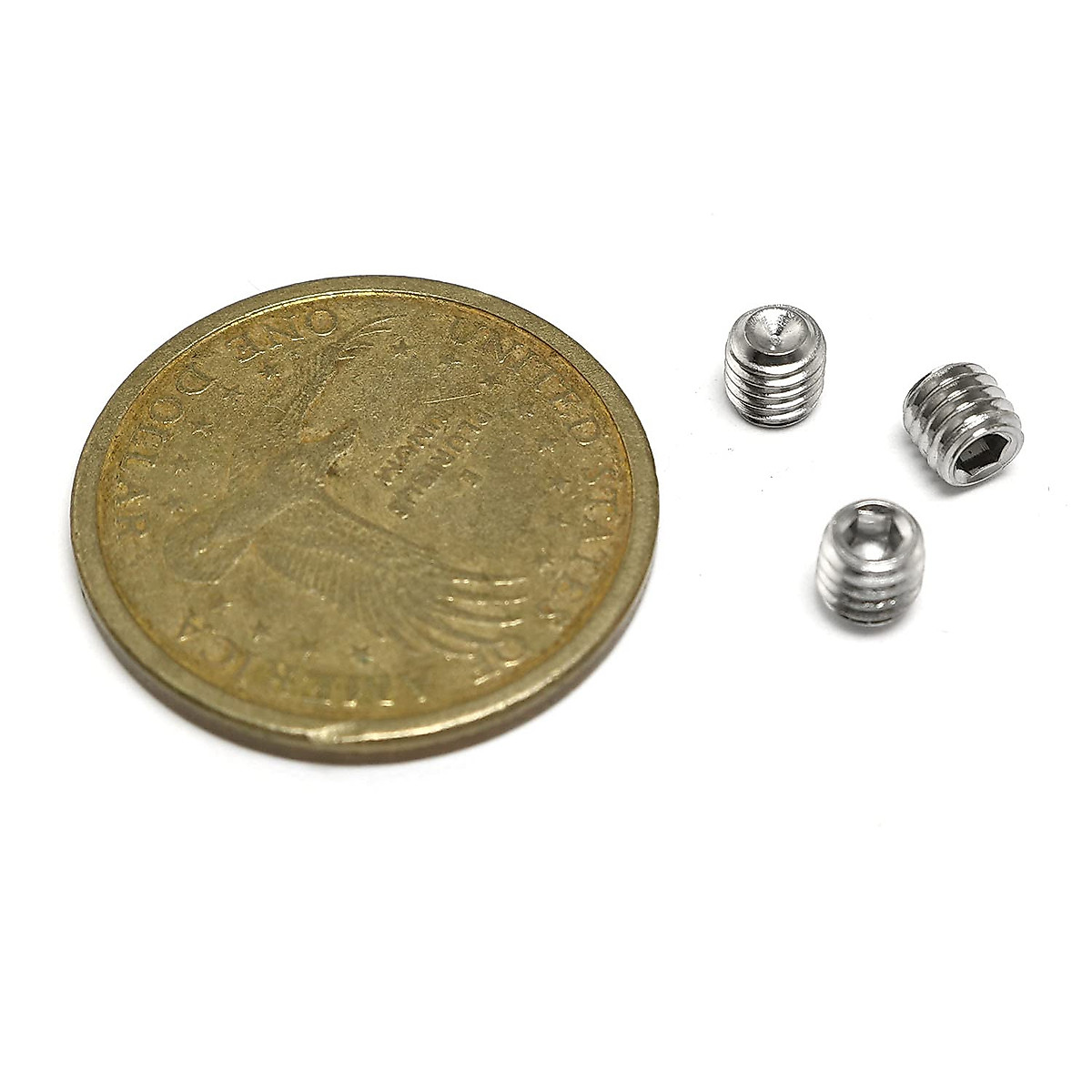 Pro Bamboo Kitchen Grub Screw 30PCS #10-32 X 3/16Inch Silver 304 Stainless Steel Cup Point Socket Set Screws