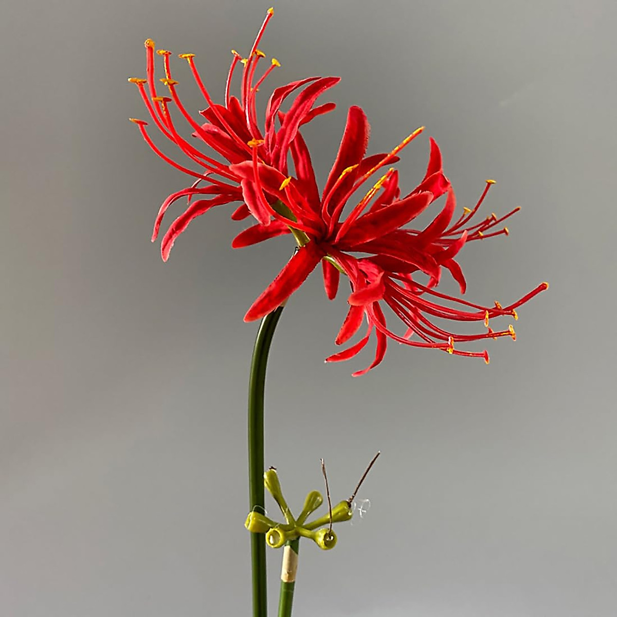 Qingriver 4 Stems 26.38'' Artificial Spider Lily Flowers Lycoris Radiata for Home Garden Decoration Red