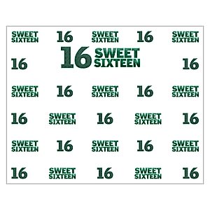 BannerBuzz Sweet Sixteen Step and Repeat Banner, Print only, 11 oz. PVC Flex , 720 DPI Eco-Solvent Printing, for Events and Parties, Photography Background (8'W x 10'H)