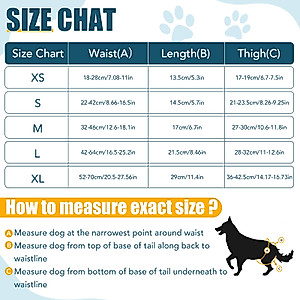 XPCARE Dog Diaper Female (4 Pack) - Washable Reusable Durable Dog Diapers - Highly Absorbent Female Dog Diapers - Dog Aiaper for Dogs in Heat,Incontinence or Excitatory Urination(M)