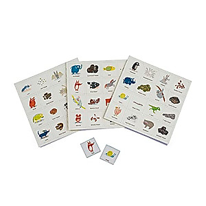 Laurence King Poop Bingo: A Hilarious and Fascinating Educational Game for Kids!