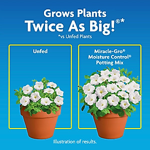 Miracle-Gro Moisture Control Potting Mix - Soil for Indoor & Outdoor Containers, Added Fertilizer Feeds Up to 6 Months, 8 qt.