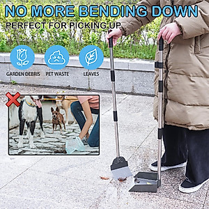 SCENEREAL Dog Poop Scooper - Tray & Spade Set, Metal Pooper Scooper for Large and Small Dogs, Pet Waste Removal Scoop with No Bending Detachable Handle for Yard