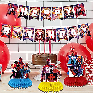 Birthday Party Supplies, Birthday Decorations Set Include Birthday Banners,Hanging Swirls and Honeycomb Centerpiece for Party Decorations