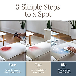 ForceField Fabric Cleaner - Professional Strength - Deeply Penetrates Water Safe Fabric & Fibers of Upholstery, Clothing, Rugs & Carpeting 22oz