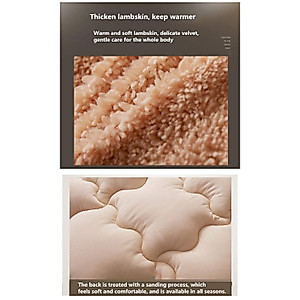 Plush Thicken Floor Mattress Non-Slip Quilting Tatami Mattress Japanese Foldable Futon Mat Single Double Mattress Topper Full Size for Adult Child etcC-100x200cm(39x79inch)