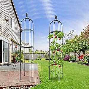 Garden Obelisk Trellis for Climbing Plants, Rustproof Plastic Coated Metal Plant Support, Garden Tower Trellis Indoor Potted Plant, Tomato Plant Cage for Support Rose, Vegetable Vines(2 Pack)