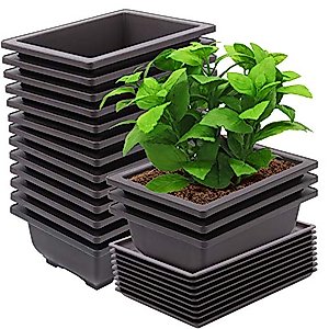 ZEONHEI 15 PCS 8.8 Inch Bonsai Training Pots, Bonsai Tree Growing Pots with 15 Drainage Trays, Plastic Bonsai Planter for Garden, Yard, Office, Porch, Balcony, Home Decoration