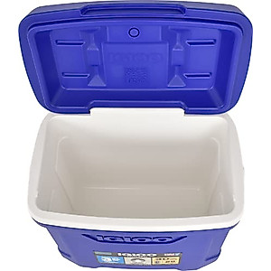 Igloo Profile II 30 Quart Bail, Blue