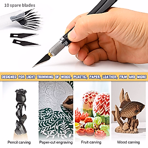 NEWISHTOOL Hobby Knife Precision Craft Knife Set Utility Exacto Knife with 10 PCS Fine Point Razor Art Knife Tool for Architecture Modeling, Pumpkin Cutting, Scrapbooking, Wood Working Stencil