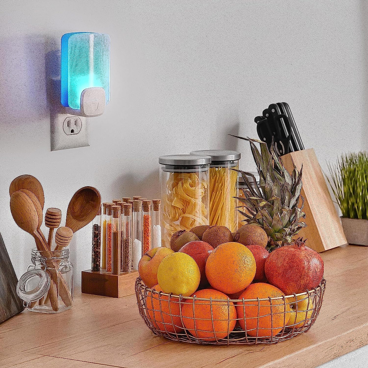 Raid Essentials Flying Insect Light Trap Refills, 16 Light Trap Refill Cartridges, Featuring Light Powered Attraction