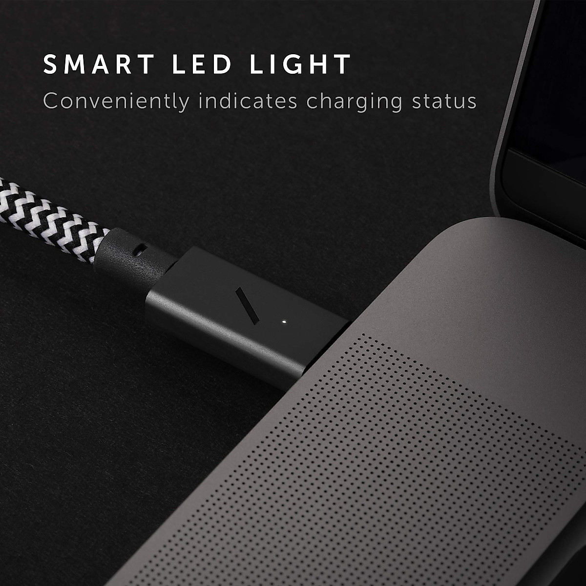 Native Union Type-C Belt Cable Pro - USB-C to USB-C 8ft Ultra-Strong Charging Cable with Leather Strap Compatible with MacBook Pro 2017-2020, MacBook Pro 13" M1/ M2, Air 13" M1, Surface Go 3 (Zebra)