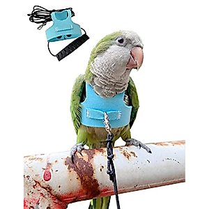 Bird Flight Harness Vest, Parrot Flight Suit with Leash for Parakeets Cockatiels Conures Budgies, Bird Flying Clothes with Rope and Handle for Outdoor Activities Training, Anti Bite (M, Blue)