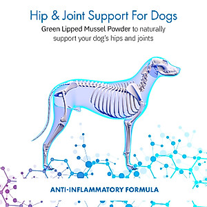 Equa Holistics Green Lipped Mussel Powder for Dogs, All-Natural Hip & Joint Support Dietary Supplement Formula for Dogs (120 Servings)