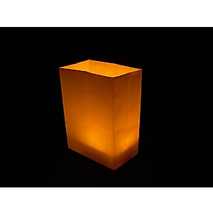 Fortune Products LL-8A Luminary Light, 2 3/4" Length, 1 1/2" Width, 3/4" Height, 8 LEDs, Amber LEDs with Black Base