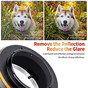 K&F Concept Lens Mount adapter Compatible for Canon FD FL Lens to Fujifilm Fuji X-Series X FX Mount Mirrorless Cameras with Matting Varnish Design for Fuji XT2 XT20 XE3 XT1 X-T2