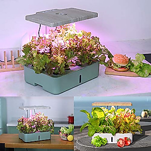 moistenland Indoor Hydroponic Garden, Hydroponics Growing System, Indoor Herb Garden Starter Kit with LED Grow Light, Inside Garden Growing System,Automatic Timer Plant Germination Kits (12 Pods)