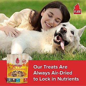 PLATO Turkey Real Strips Natural Dog Treats - Real Meat - Air Dried - Made in the USA - Turkey & Pumpkin, 3 ounces